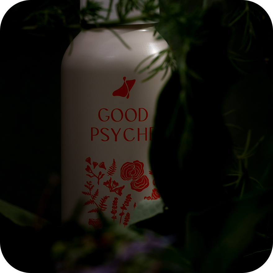 Botanical Well Beauty – Good Psyche